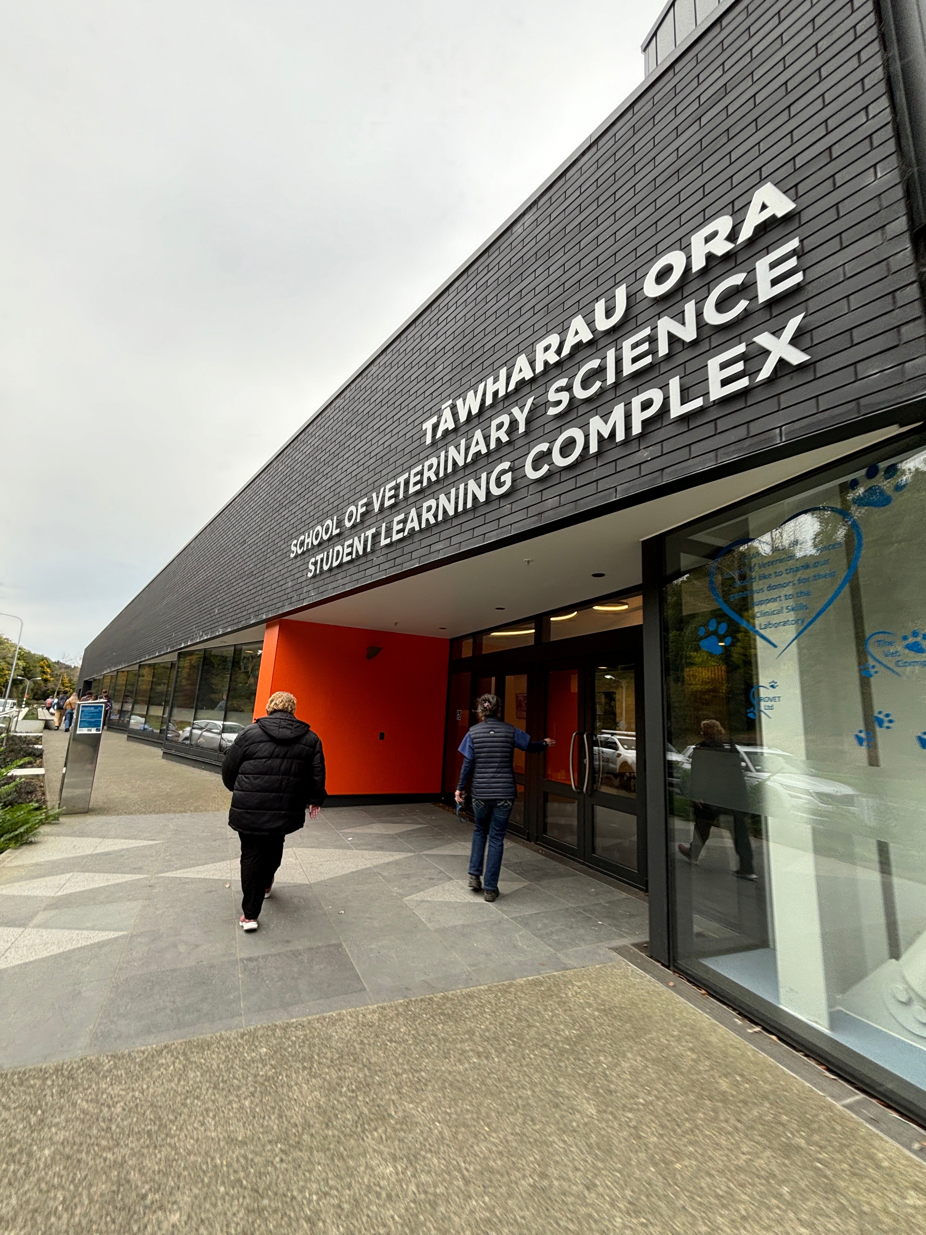 I GOT IN!! – Rose Flats Equestrian